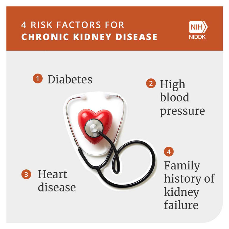 1-in-3 American adults are at risk for kidney disease. What you need to ...