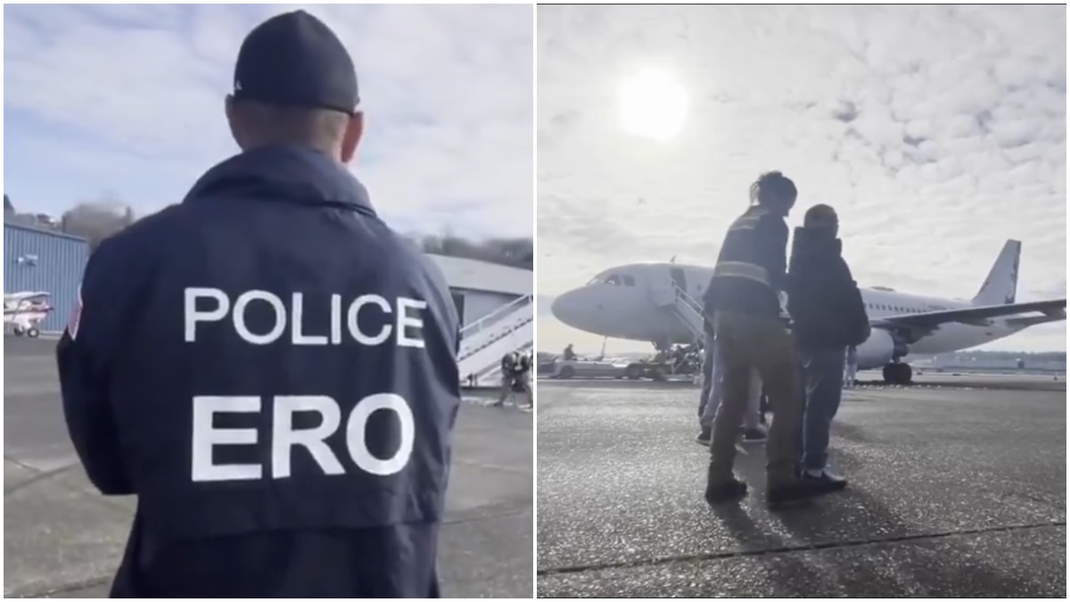 White House Shares 'ASMR' Video Of Shackling Deportees, Musk Reacts