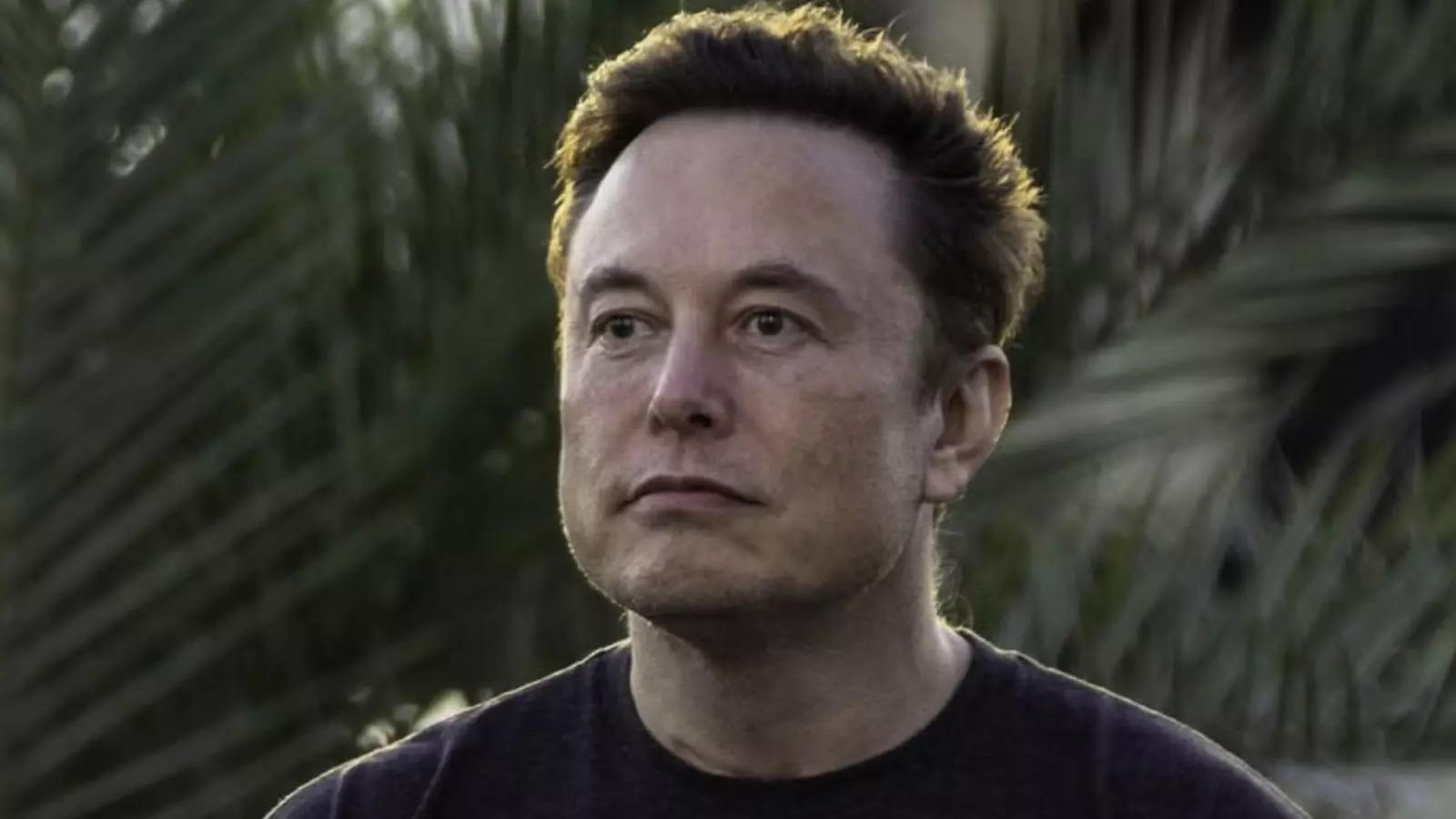 'Twilight is real': Why Elon Musk said 100 to 300-year-old 'vampires ...