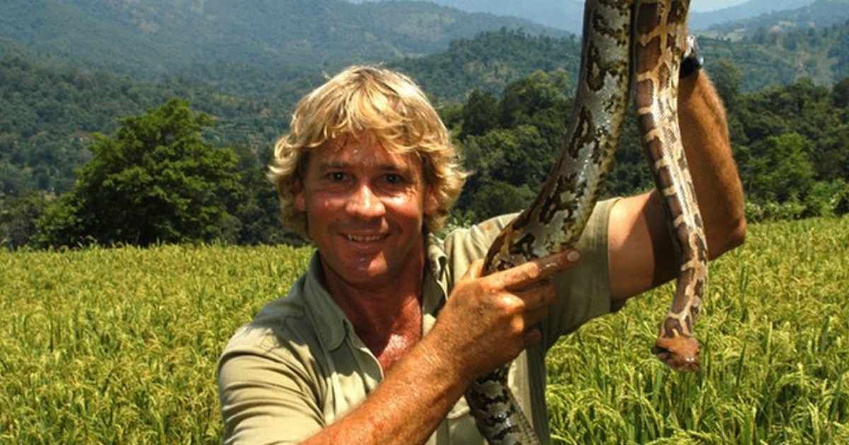 Steve Irwin Got Bit by a Snake on Live TV — But What He Told His ...