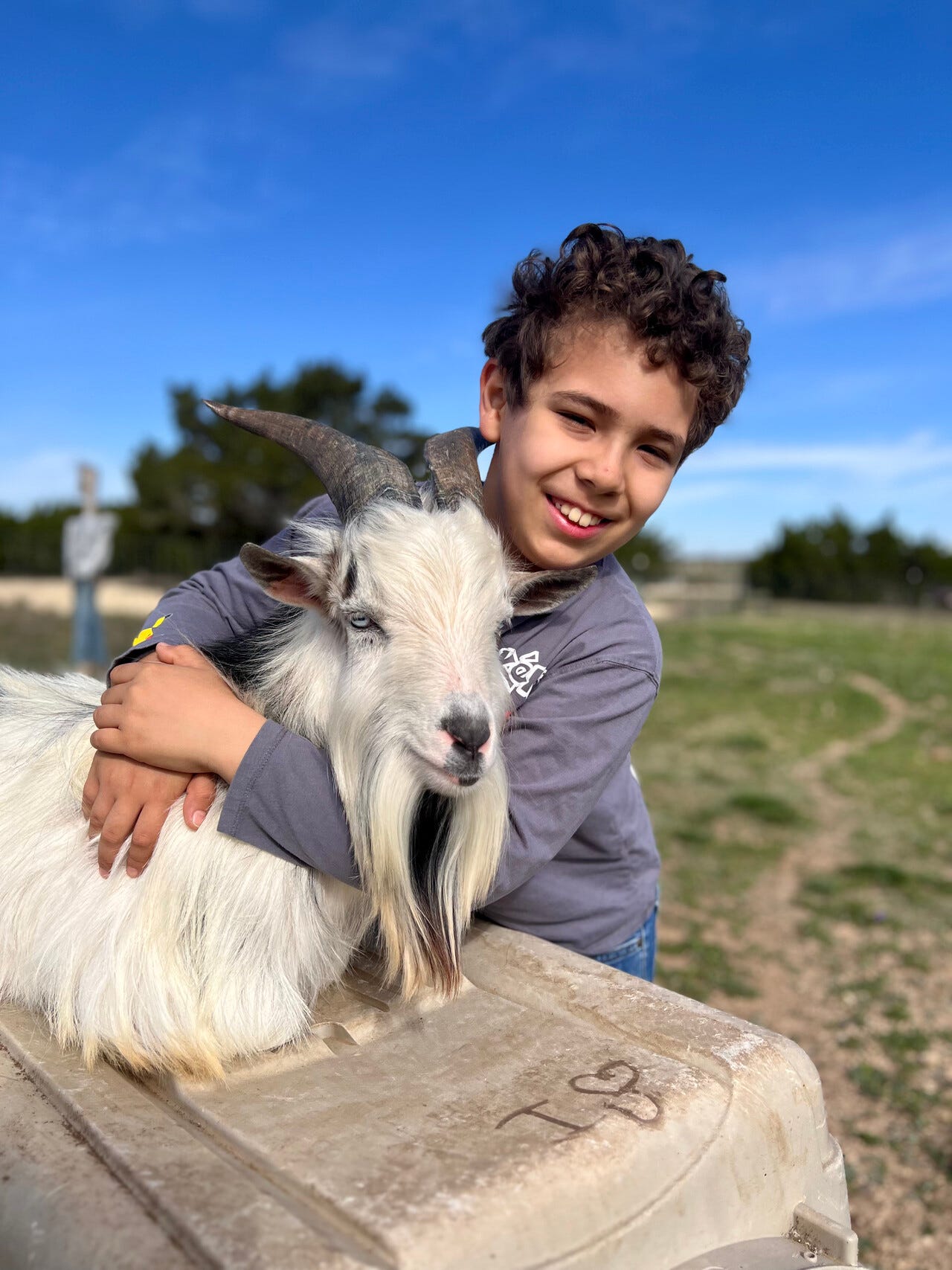 Mizu the goat wins USA TODAY's Favorite Pet Contest