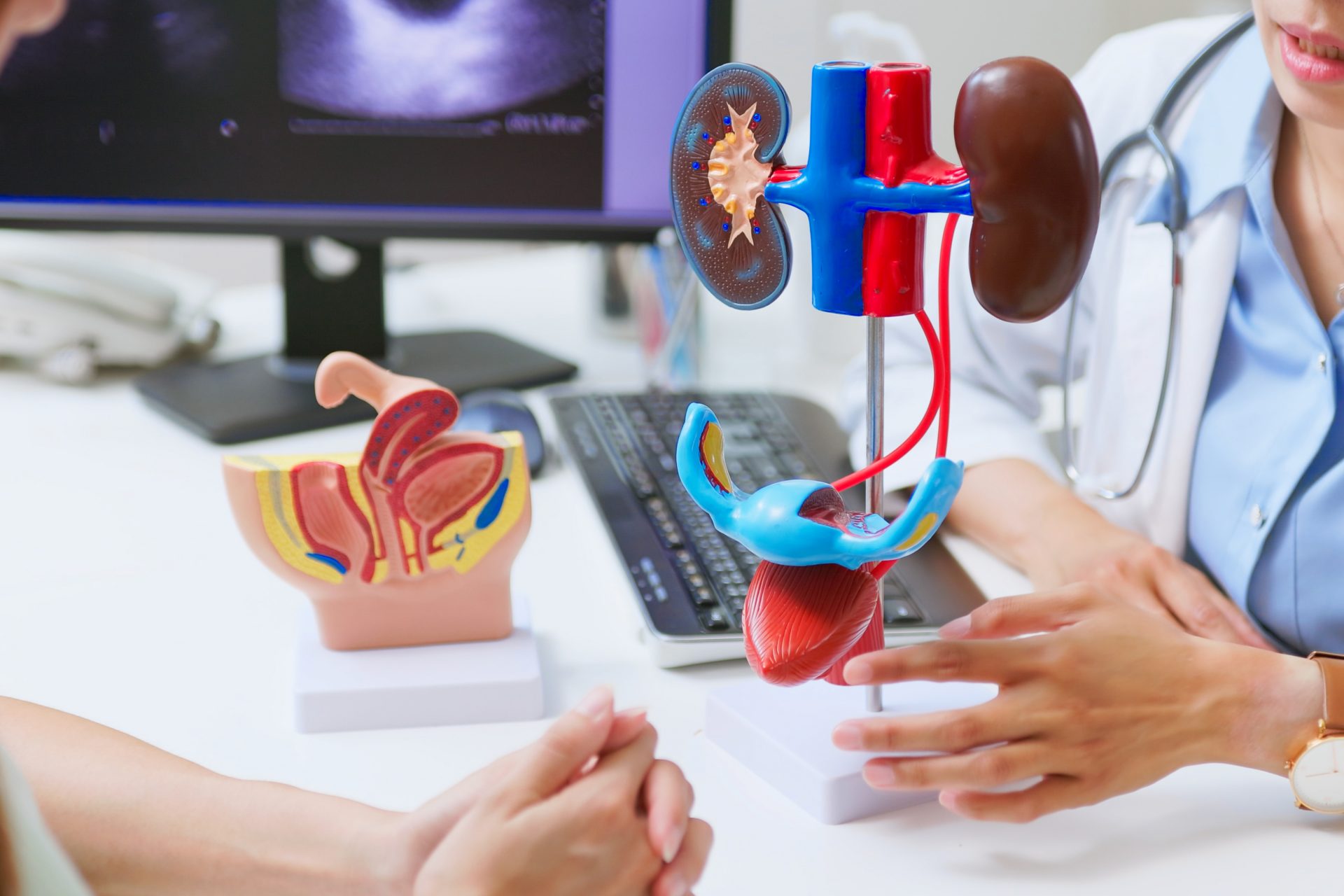 Se retenir d'aller aux toilettes : quels impacts sur la santé