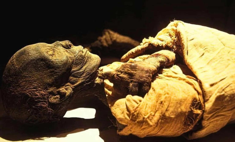 After 100 Years, Egypt Announces “First Royal Tomb” Discovery Since ...