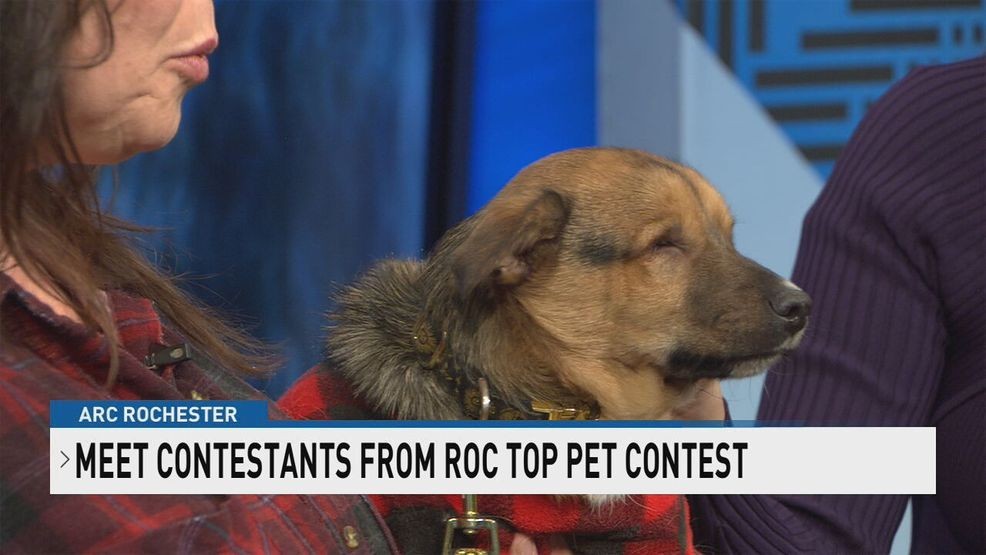 ARC Rochester: February 19, 2025