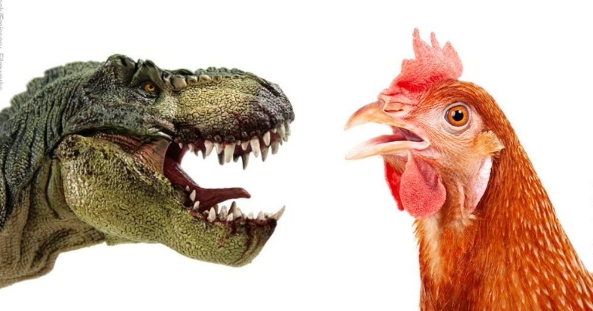 Old PETA Post Goes Viral After Social Media Notices How Ridiculous It ...