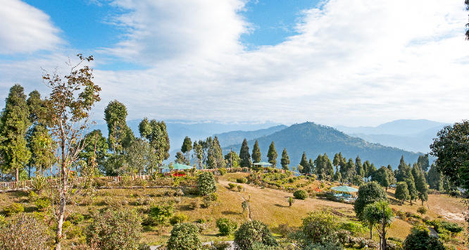 Scenic Views & Cultural Wonders: Top Activities in Kalimpong