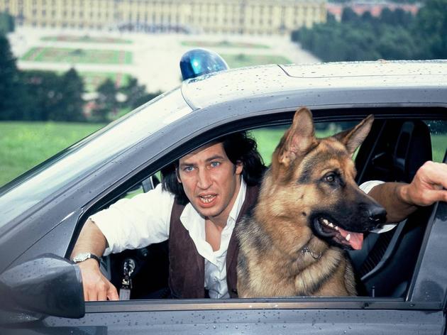 SAT.1 holt Kultserie „Kommissar Rex“ zurück: „Tatort“-Star übernimmt ...
