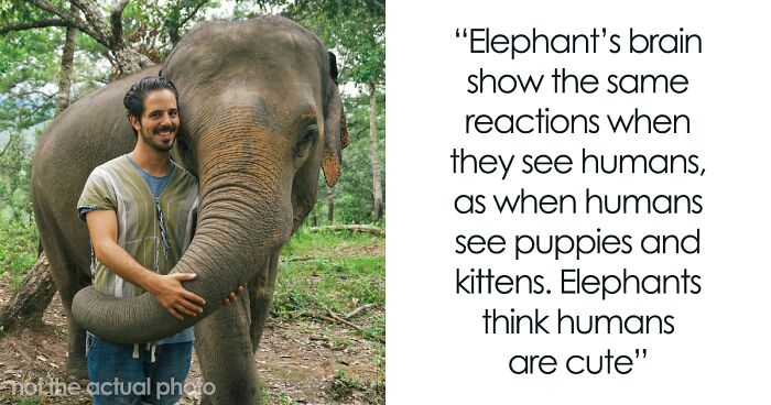 48 Cool And Interesting Facts People Learned About Animals