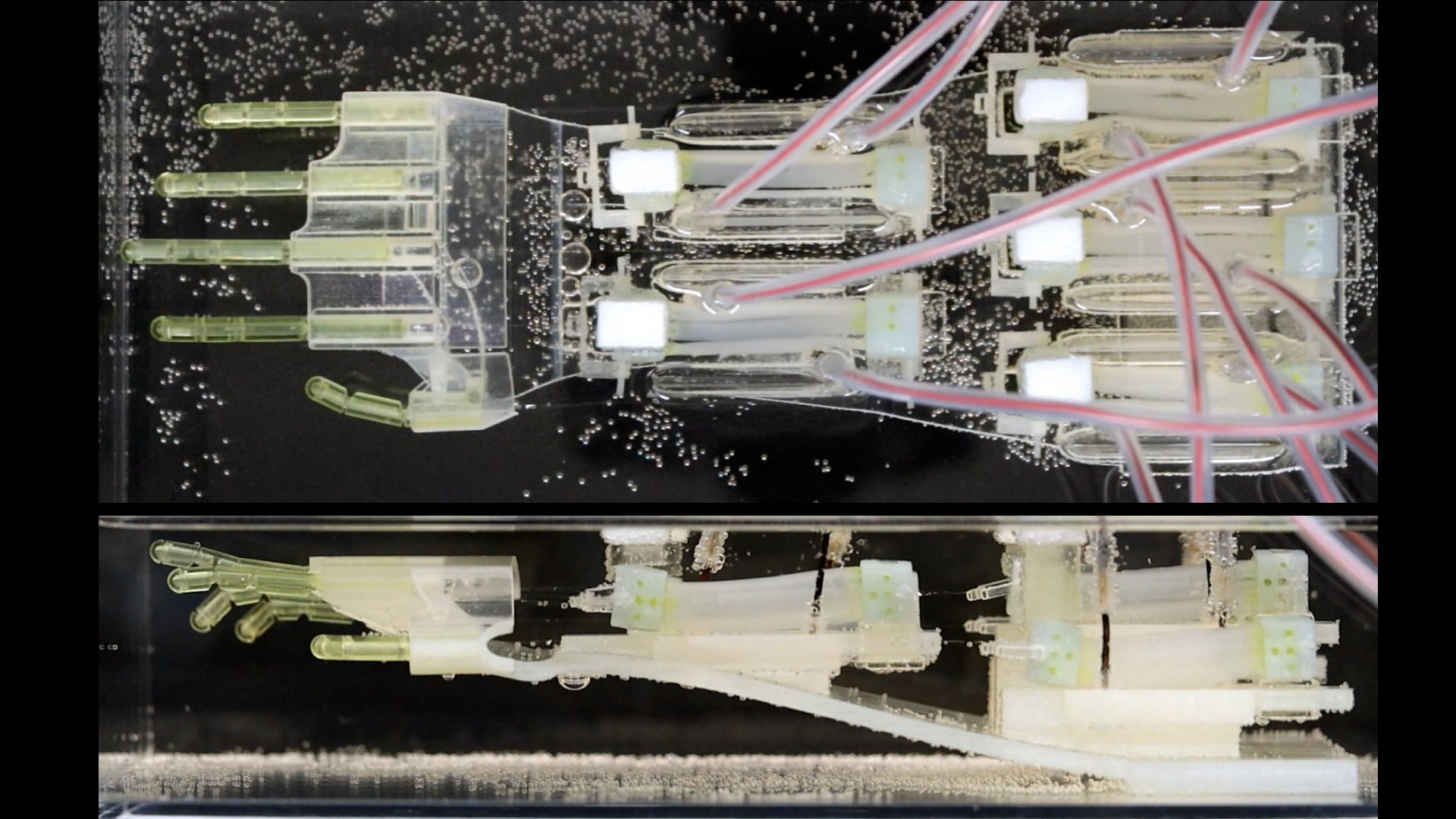 RAW VIDEO: 'Terminator' Hand Built With Lab-Grown Muscles Brings Sci-Fi ...