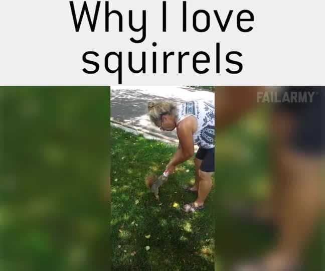 Squirrel Fails