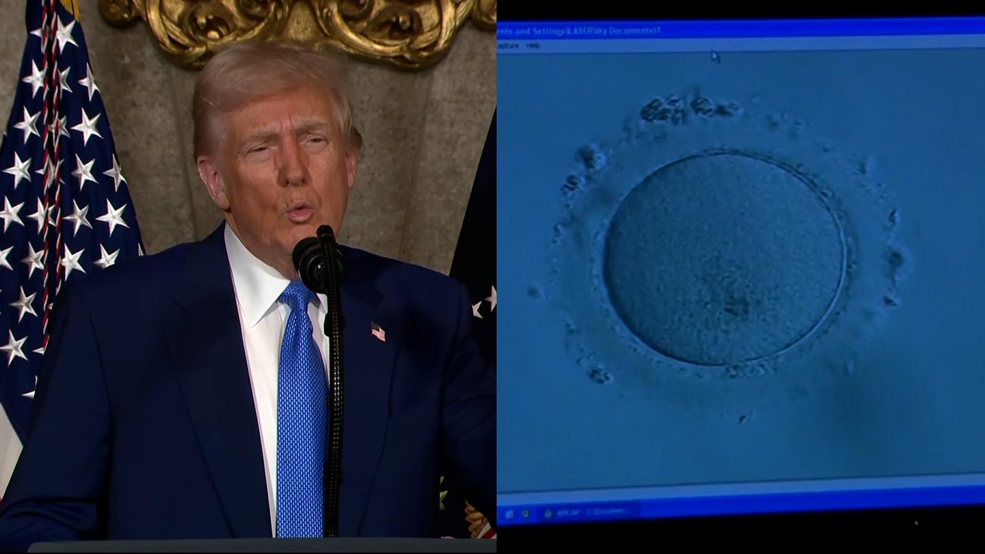 Trump signs executive order aimed at making IVF more accessible