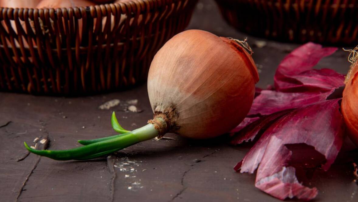 Sprouted onions: are they safe to eat or bad for your health? Here's ...