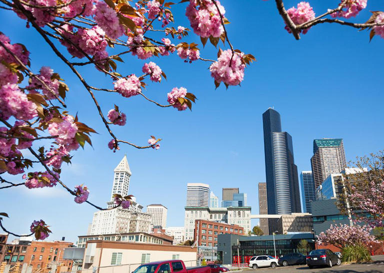 8 spectacular things to do in Seattle in the spring