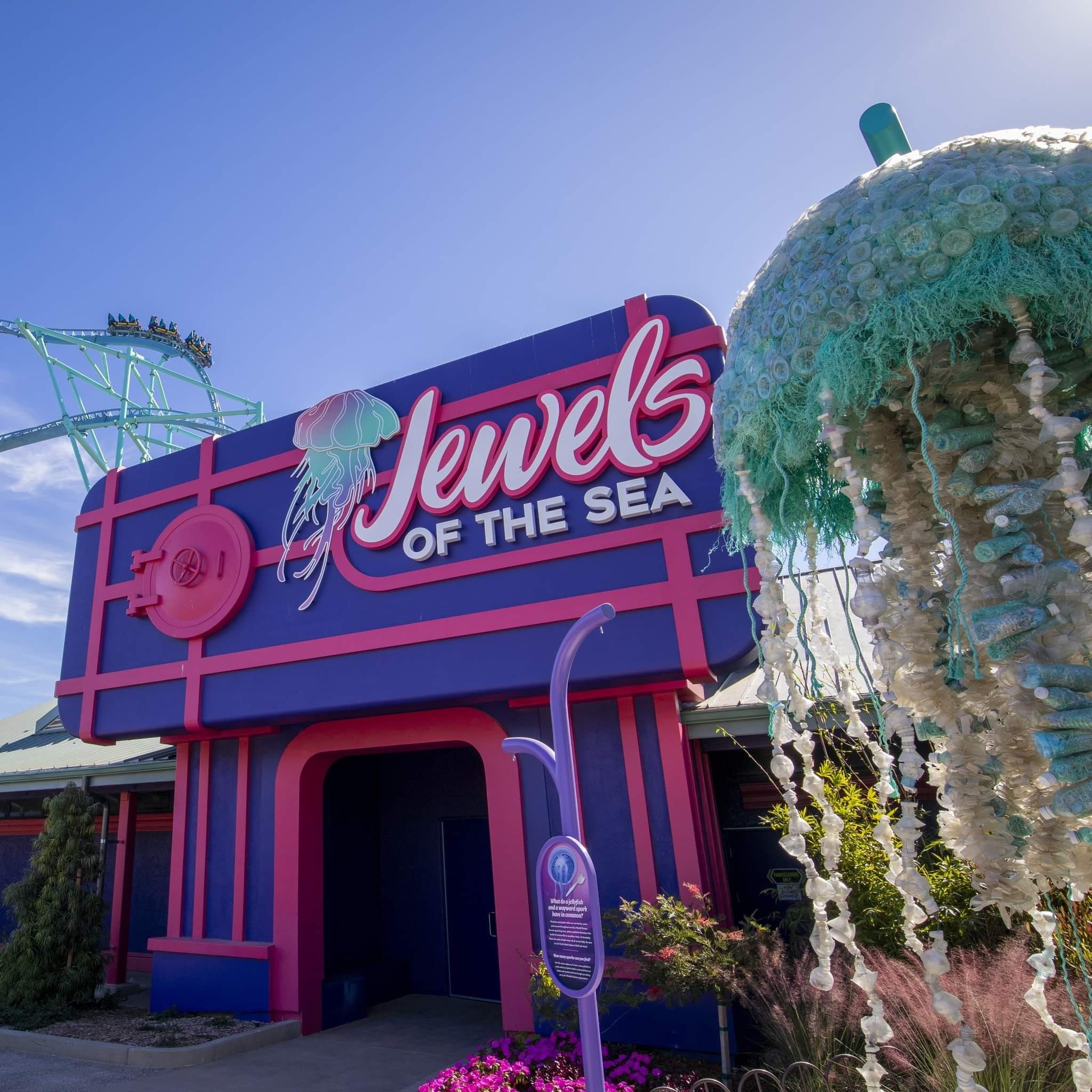 SeaWorld San Diego presenta ‘Jewels of the Sea: The Jellyfish ...
