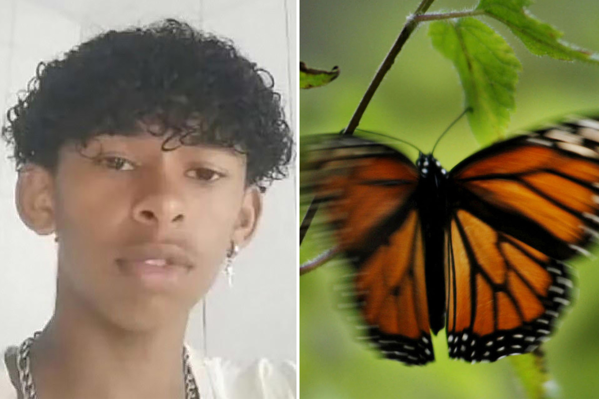 Teen who injected himself with crushed butterfly spent 7 agonizing days ...