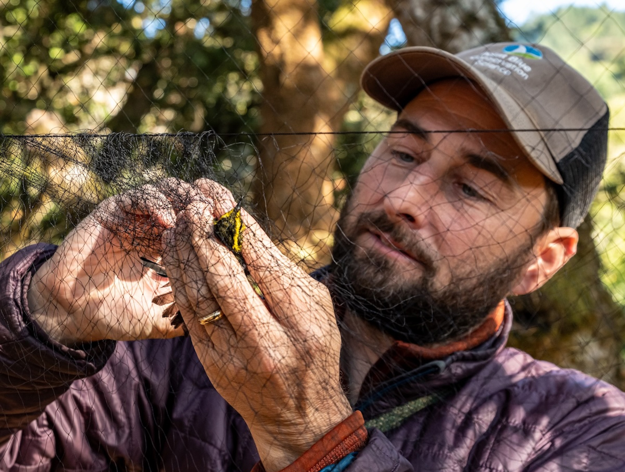 Modern day 'bird seers' track environmental health at longest running ...