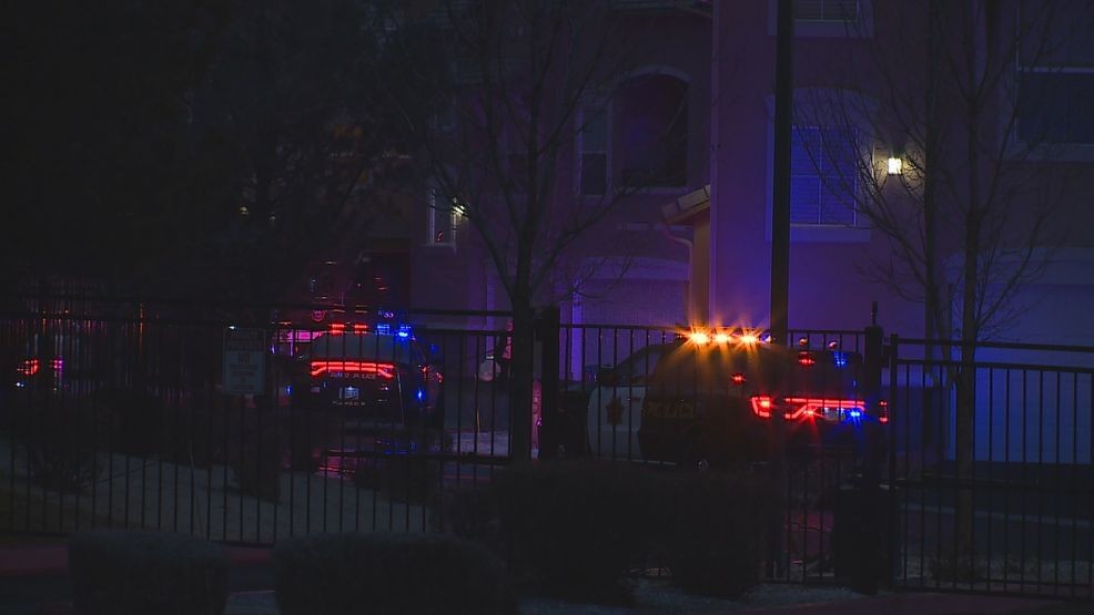 Man arrested for open murder accused of shooting girlfriend in south Reno