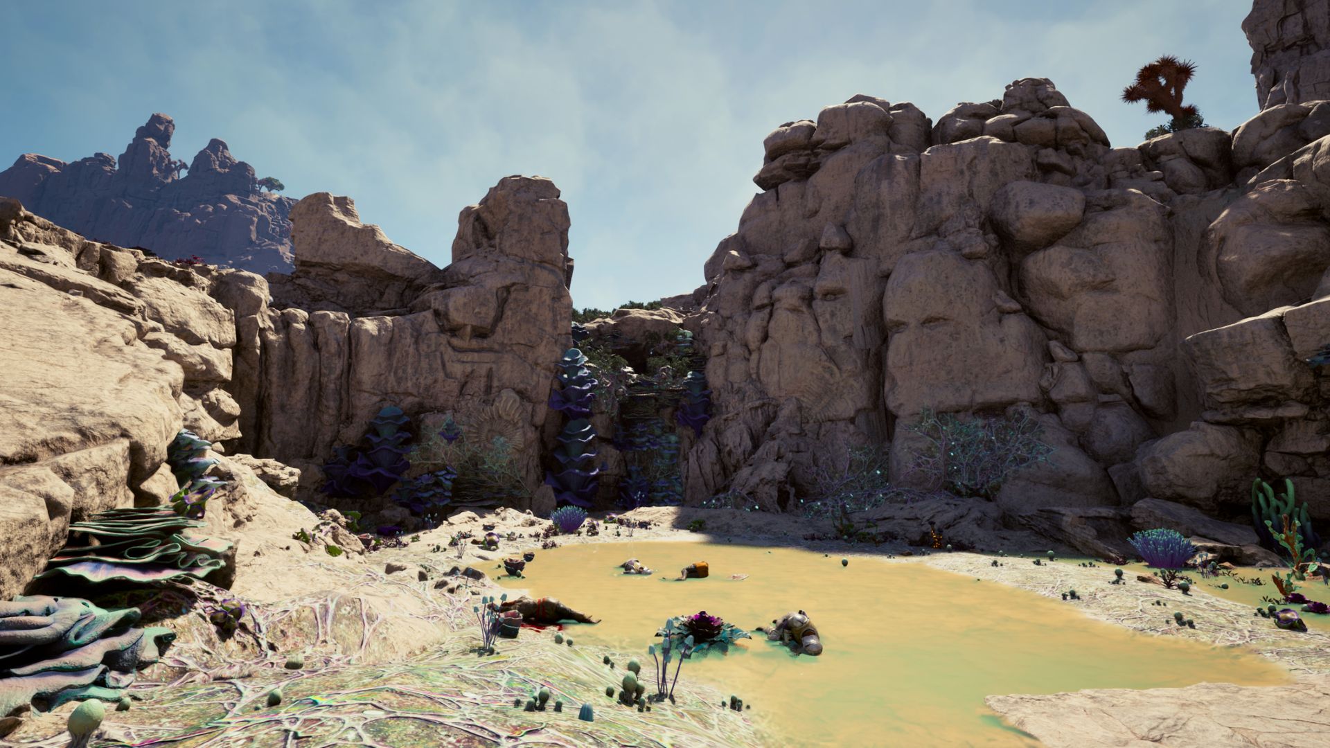 Robe of the Arcane Cheater treasure map solution in Avowed