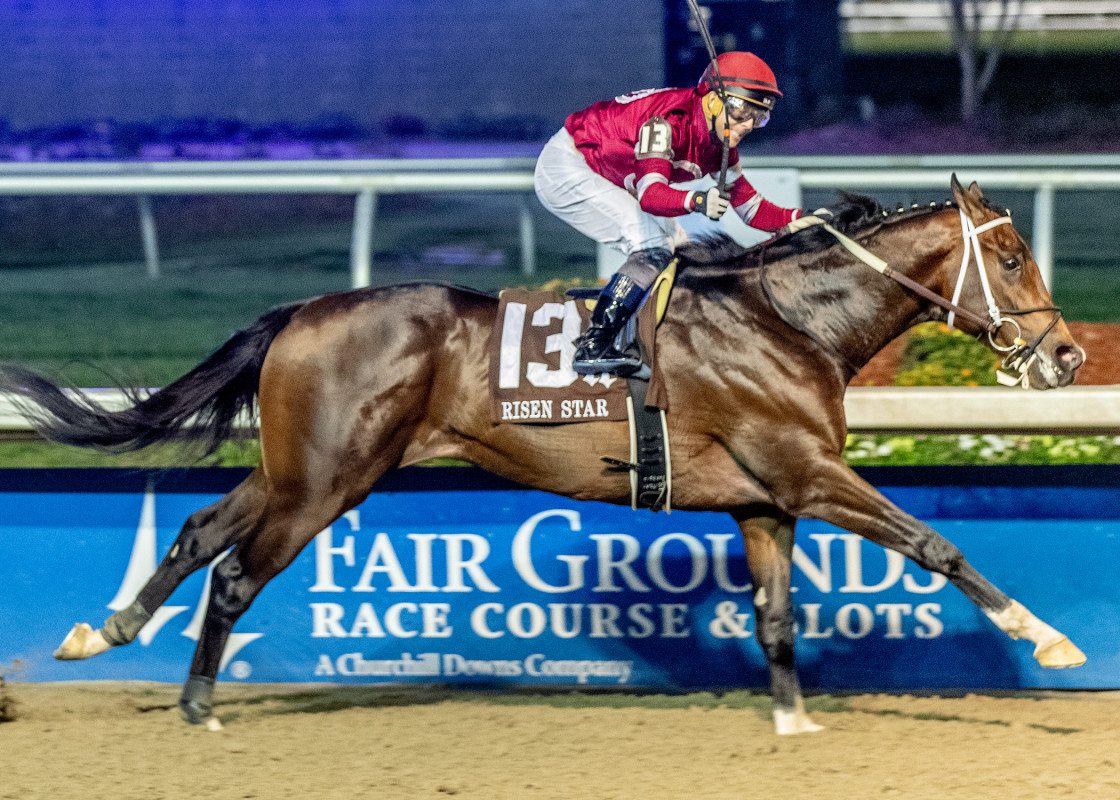 Bloodlines Presented By Walmac Farm: Risen Star Winner Magnitude Has ...