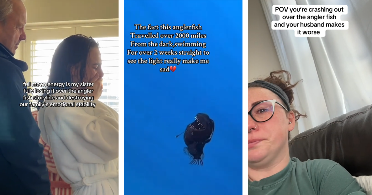 The Internet Is in Tears Over the Fate of a Rare Deep-Sea Anglerfish