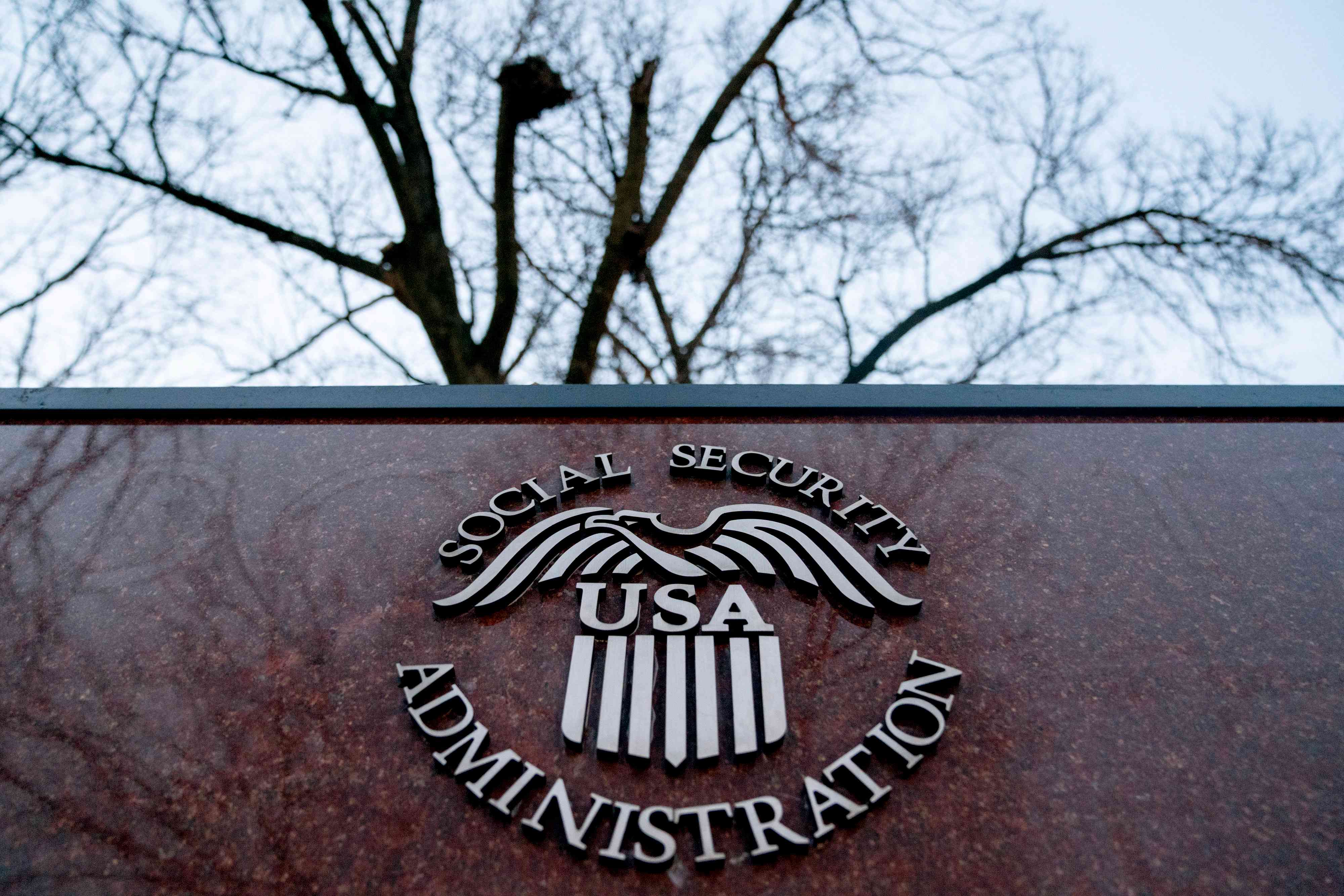 Social Security Acting Commissioner Says Elon Musk's DOGE Is 'Critical ...