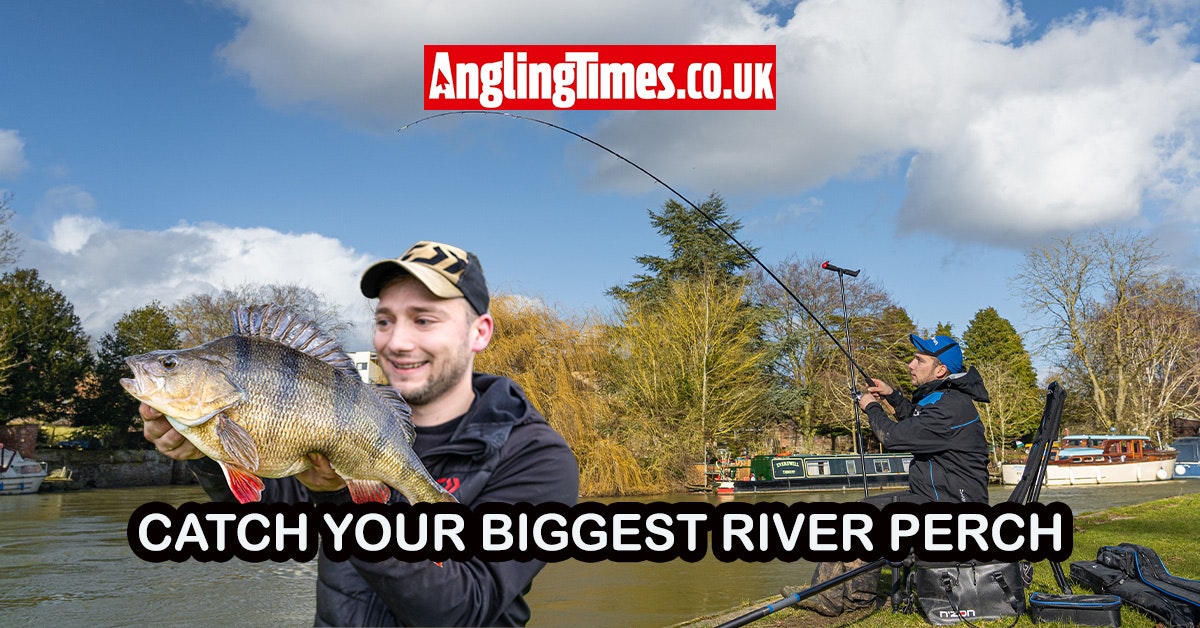 Tips to catch your biggest-ever river perch