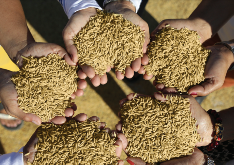 Two coops celebrate PhilGAP milestones