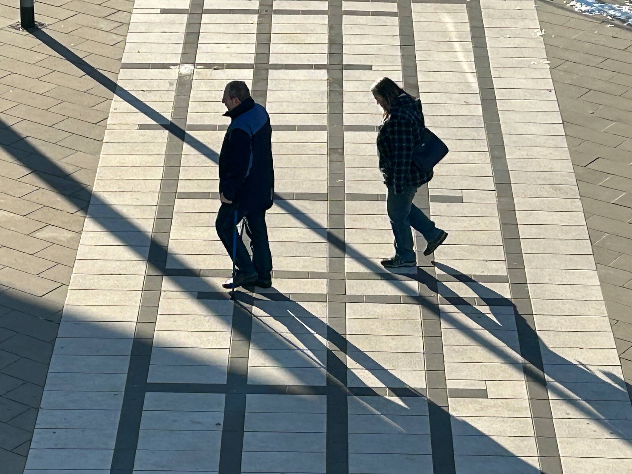 Wurzen rätselt: Was hat der etwas andere Zebrastreifen vor Aldi zu ...