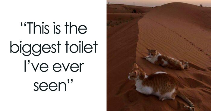 45 Memes And Jokes You Shouldn’t Read If You Don’t Want To Get Smile ...