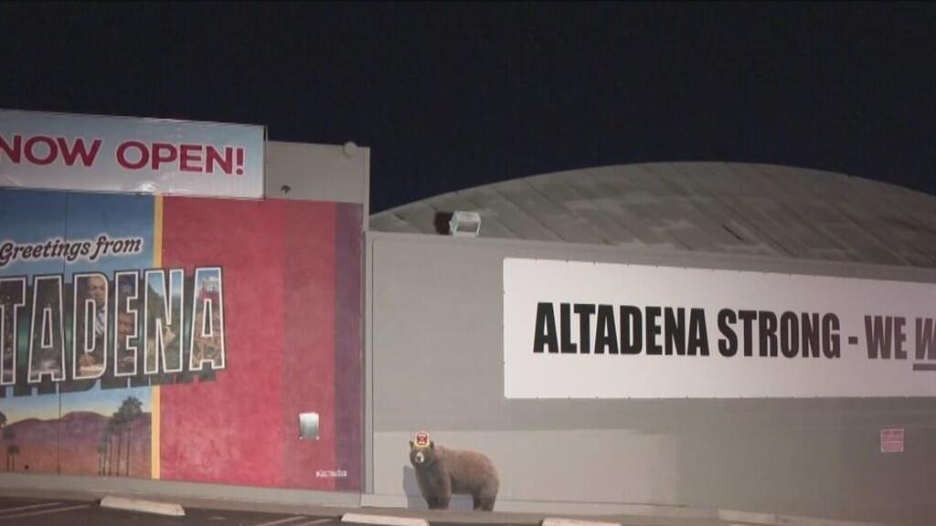 Altadena Grocery Outlet reopens as beacon of hope following Eaton Fire