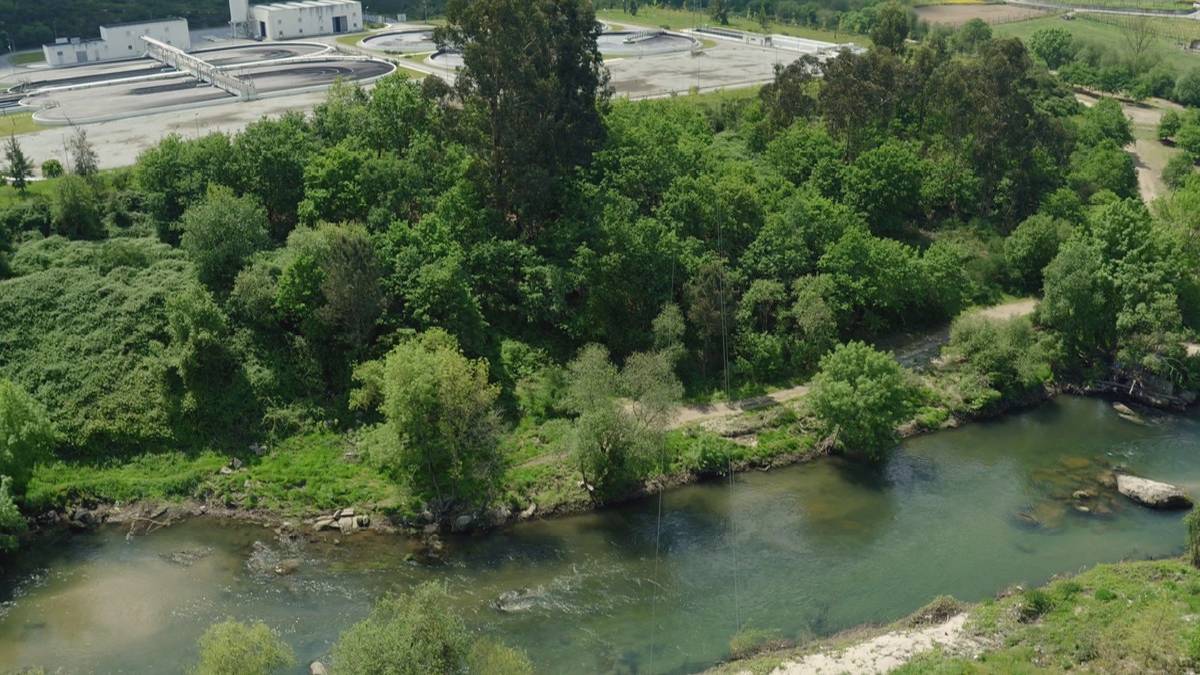 Rio Ave ganha nova vida depois de décadas a sofrer com graves problemas ...