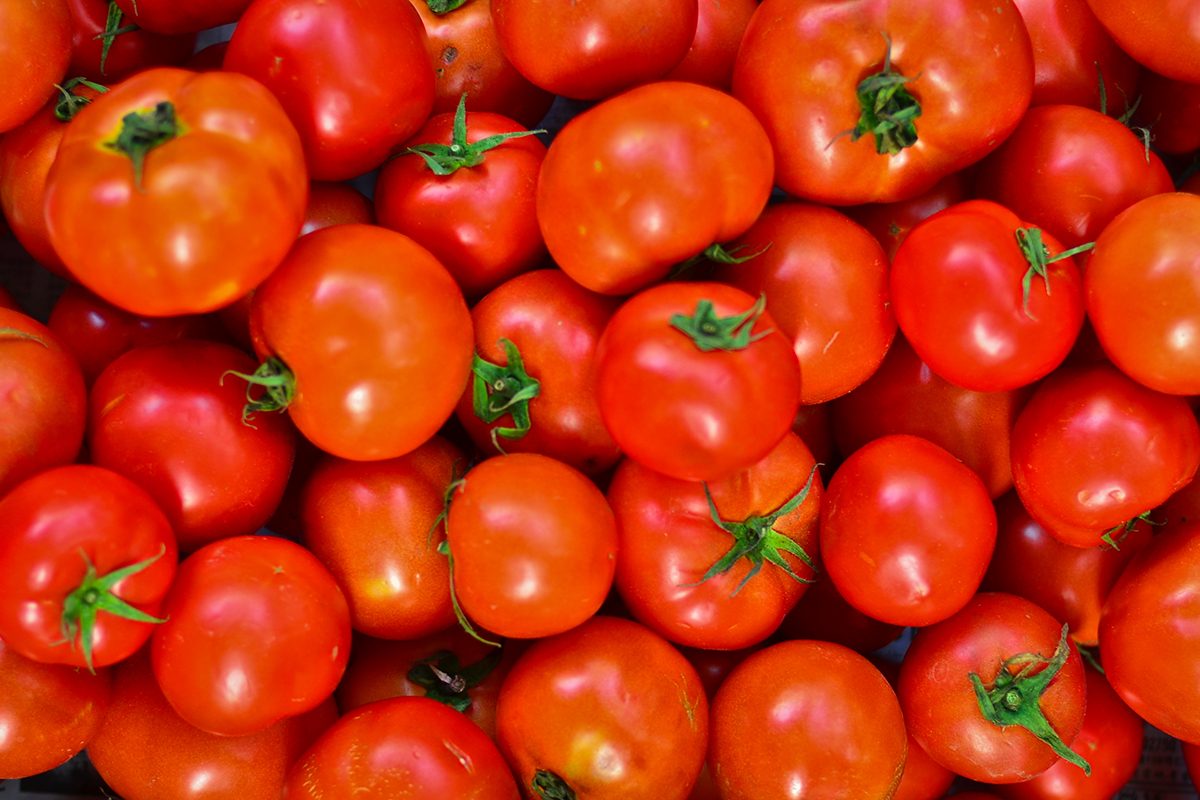 An Ongoing Tomato Recall Has Been Upgraded to the Nation’s Highest Risk ...
