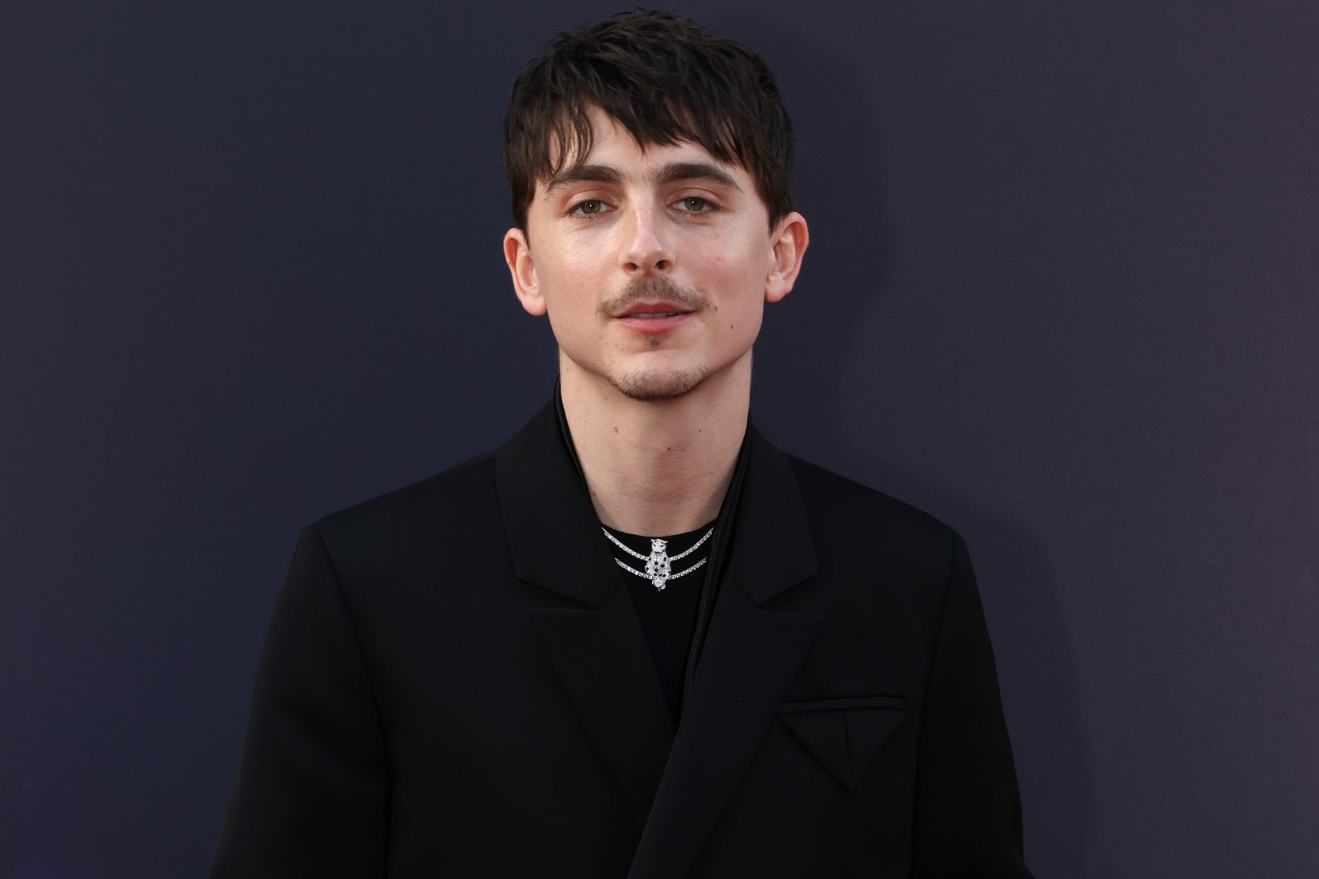 Timothée Chalamet, en route pour son premier Oscar