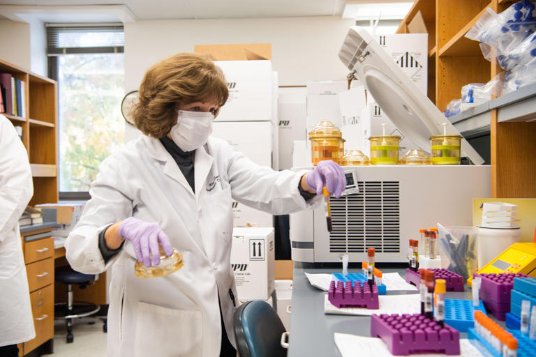Trump is shaking the foundation of American medical research | Opinion