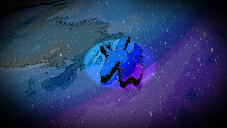 30+cm? Parts of Newfoundland may see blizzard conditions, heavy snow