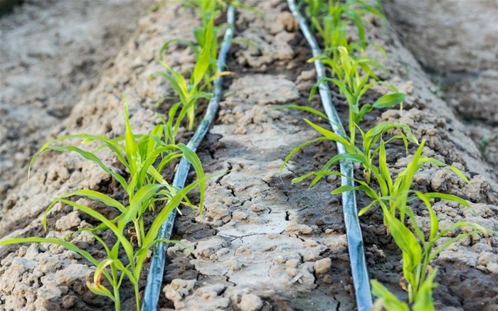 Securing SA’s agricultural future with advanced irrigation technology