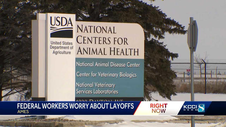 USDA layoffs in Ames raise concerns among city leaders and affected ...
