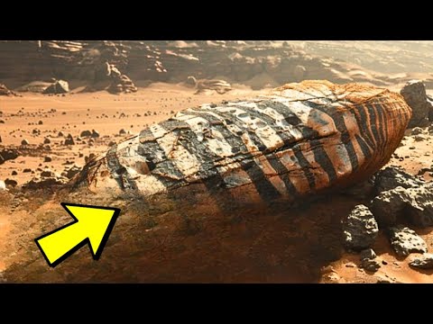 NASA Discovers Mysterious Zebra-Striped Rock on Mars