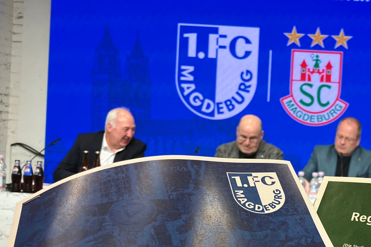 FCM und SCM: So viele Millionen spielen die Vereine für Magdeburg ein