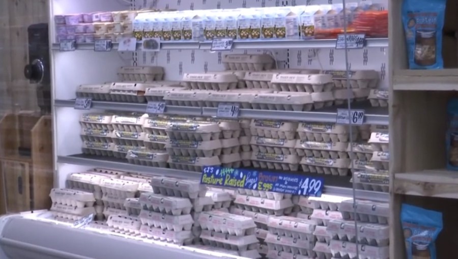 Greenville grocery stores staying stocked for influx of customers amid ...