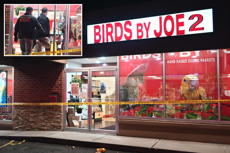 Pet store crossbow assailant ‘crouched’ and hid before shooting owner ...