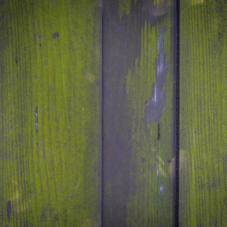 How to remove algae from a fence — 4 methods that will banish the green ...