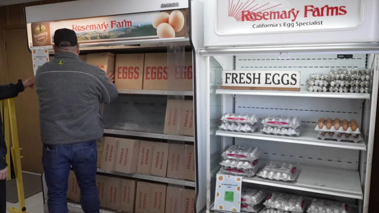California farm donates over 300,000 eggs to food banks to support fire ...
