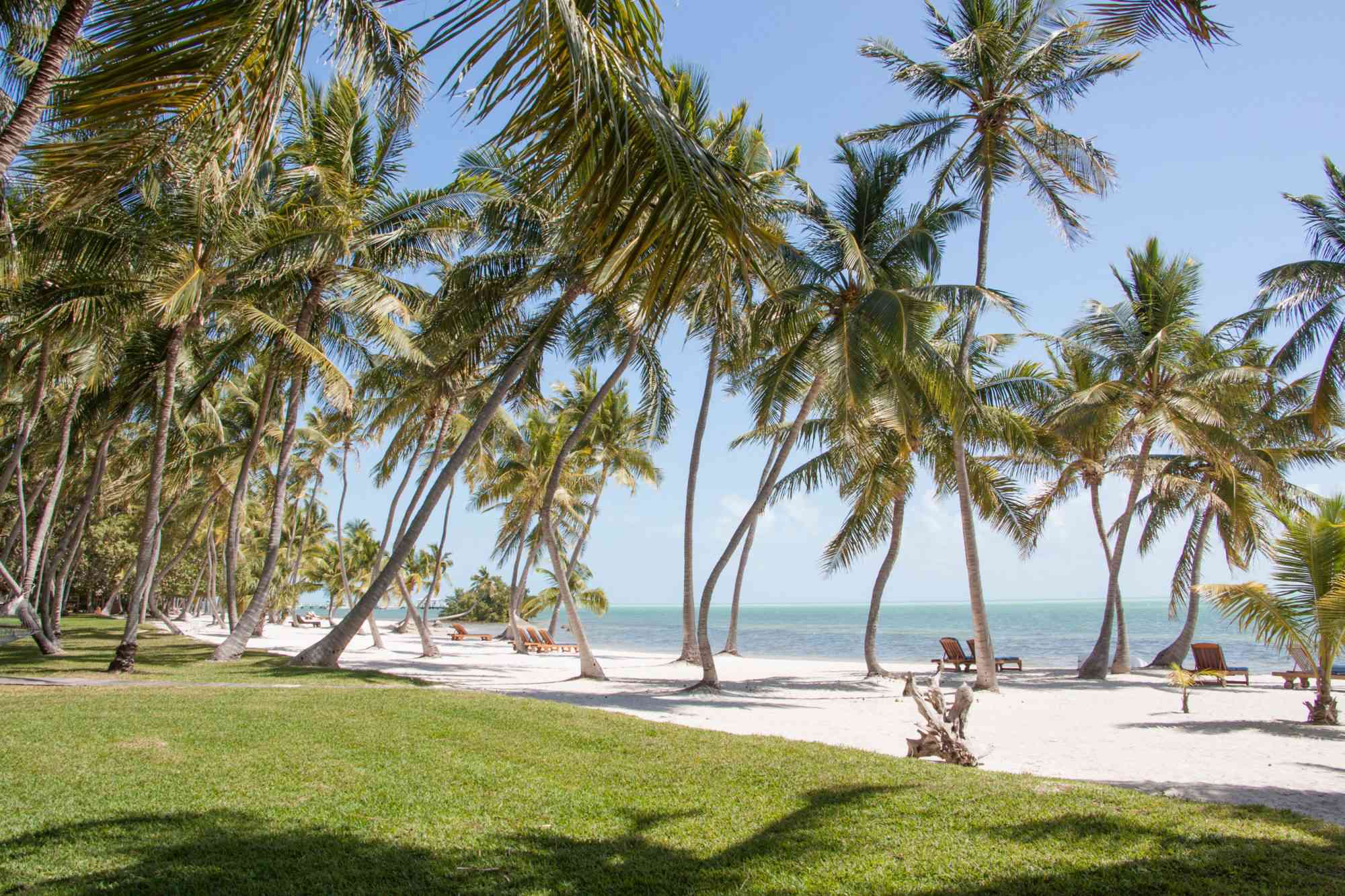 The 17 Best Things To Do In Islamorada, Florida