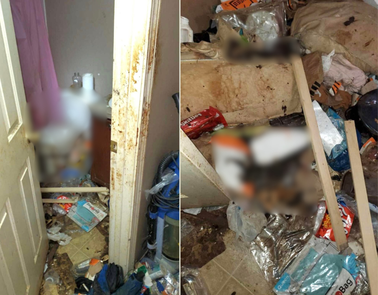 ‘How did no one know?’: 3 abandoned Michigan kids found living in squalor