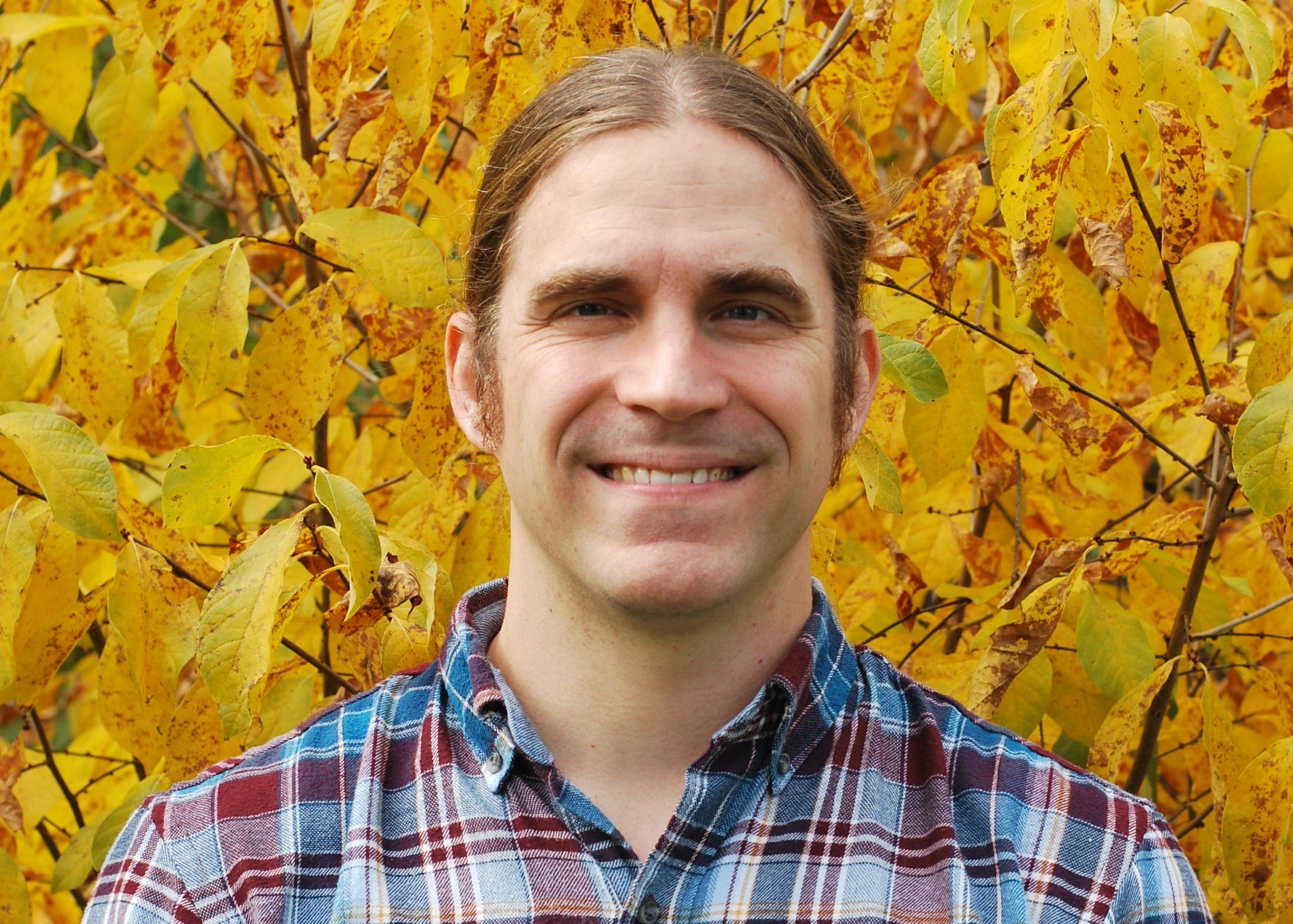 Cicadas, a land lobster to humans and delicacy for animals and fish, to ...