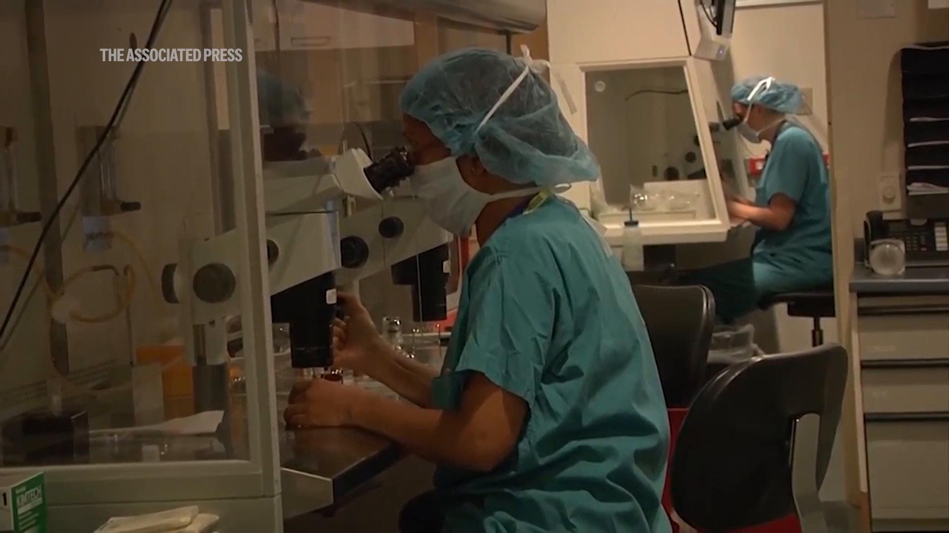 IVF patients and advocates react to Trump's IVF executive order