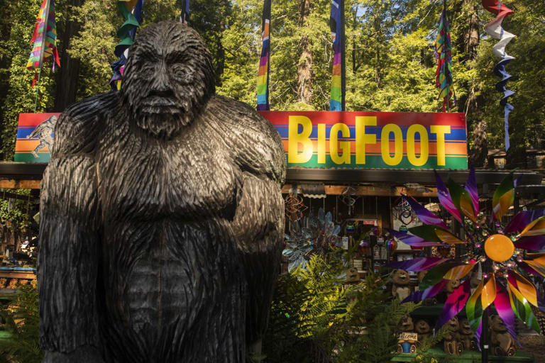 New California bill would make Bigfoot the state cryptid