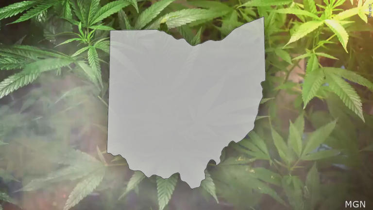 Dozens speak out against proposed changes to Ohio marijuana laws