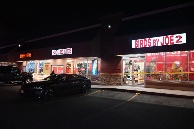 Pet store crossbow assailant ‘crouched’ and hid before shooting owner ...